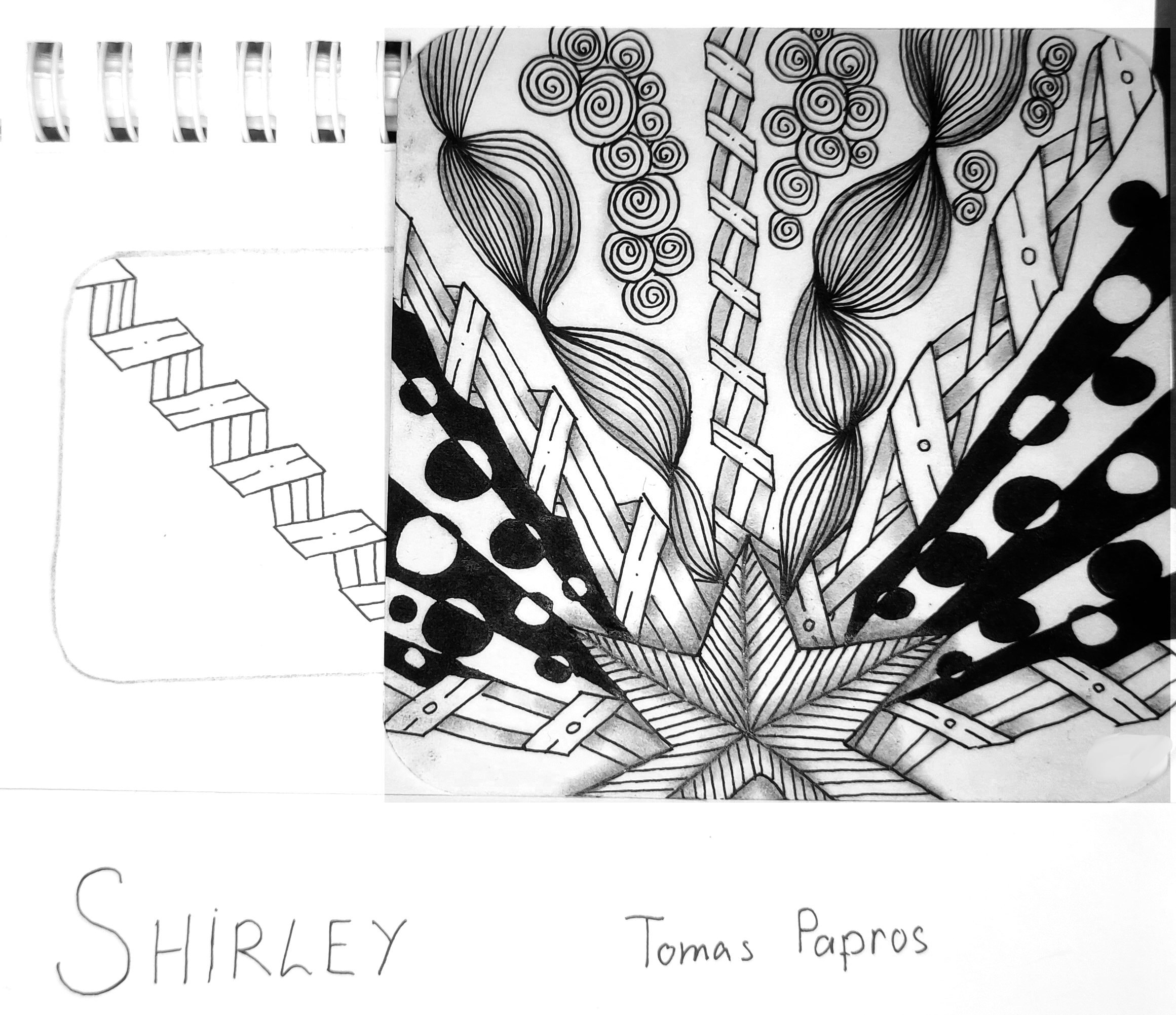 Зентангл Тангл Shirley