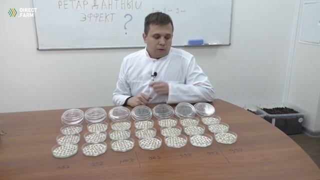 Подсчёт энергии прорастания. Лабораторный эксперимент Директ Фарм