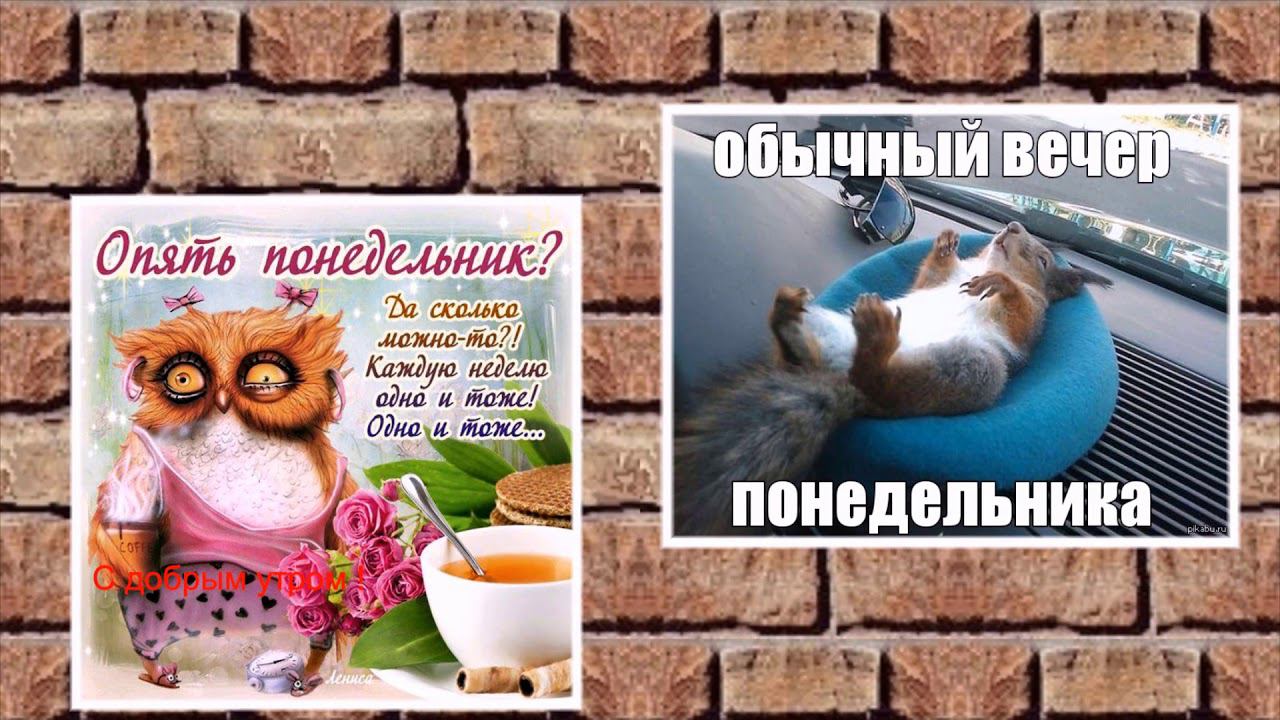 Прикол про работу понедельник♻️ [Olga Pak]