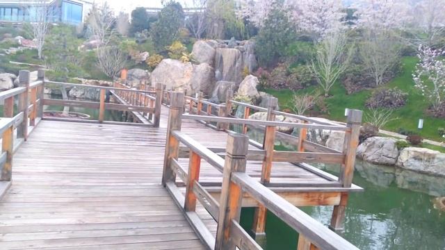 Влог! 24 часа в Японском саду ?