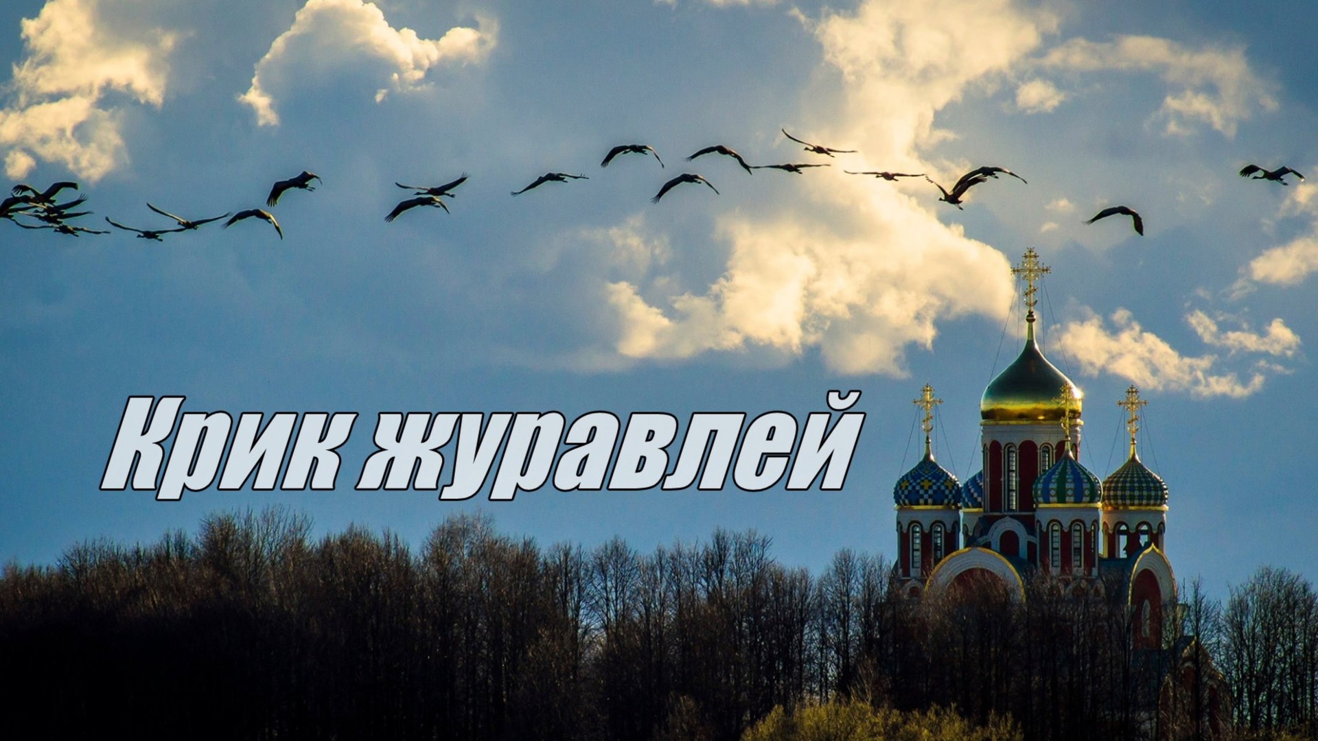 «Крик журавлей»      Душевные песни