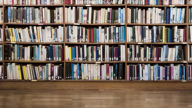 KidsBox_Level5_Unit8_Language_video