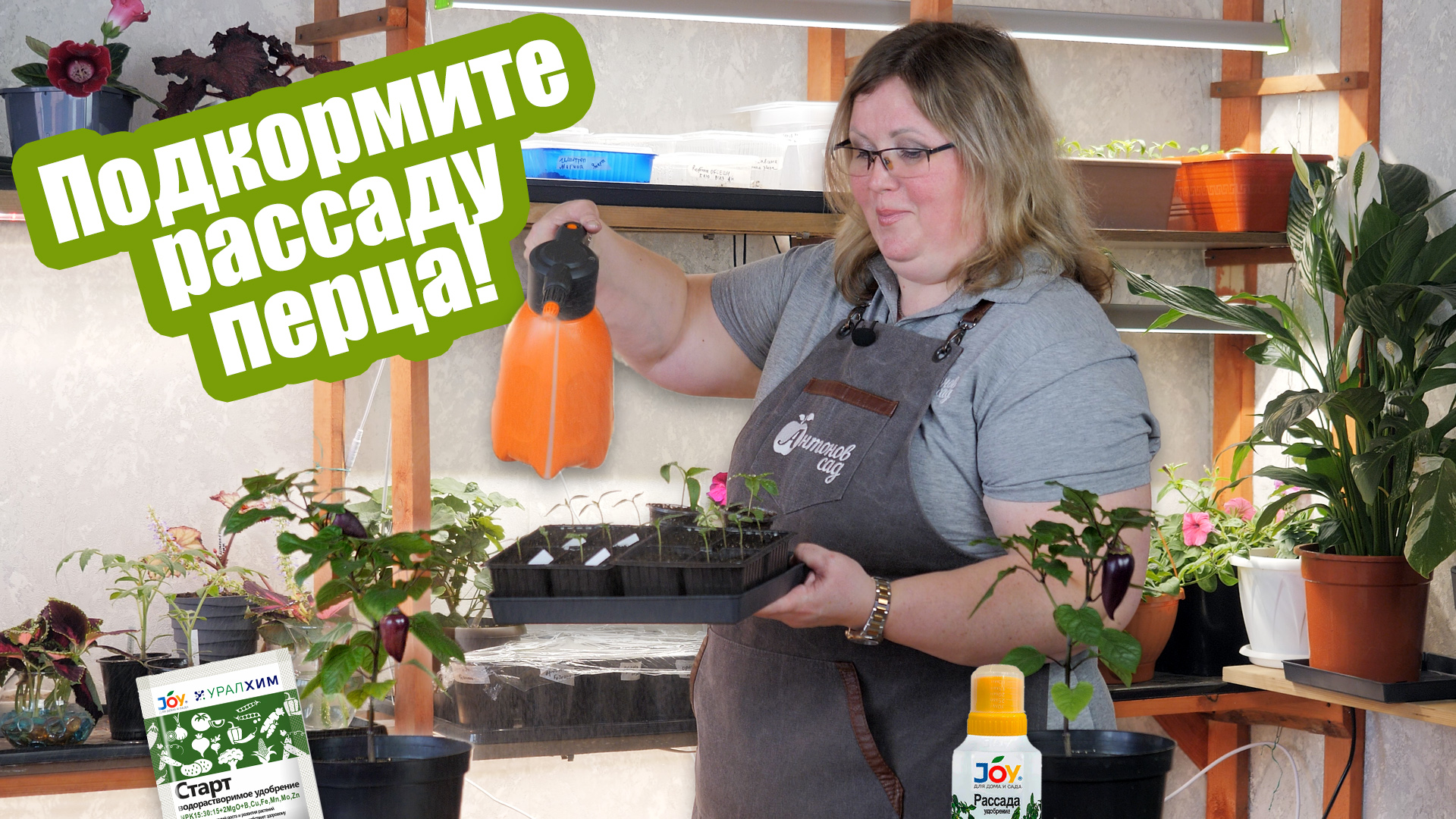 3 главные подкормки перца до высадки в грунт!