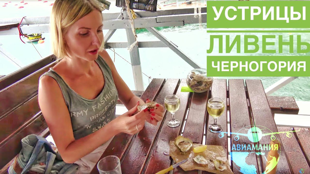 Устричная ферма Черногория | пробуем устрицы и мидии |#Авиамания Montenegro