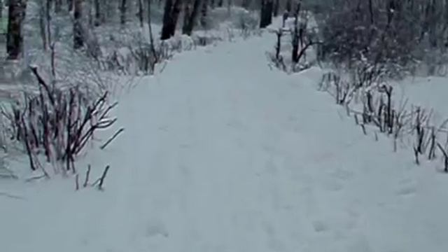 Зимний вальс