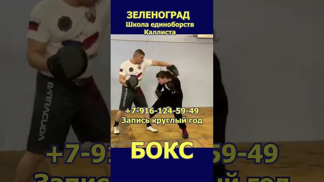Новости спорта. Зеленоград бокс для девушек. Запись. Каллиста