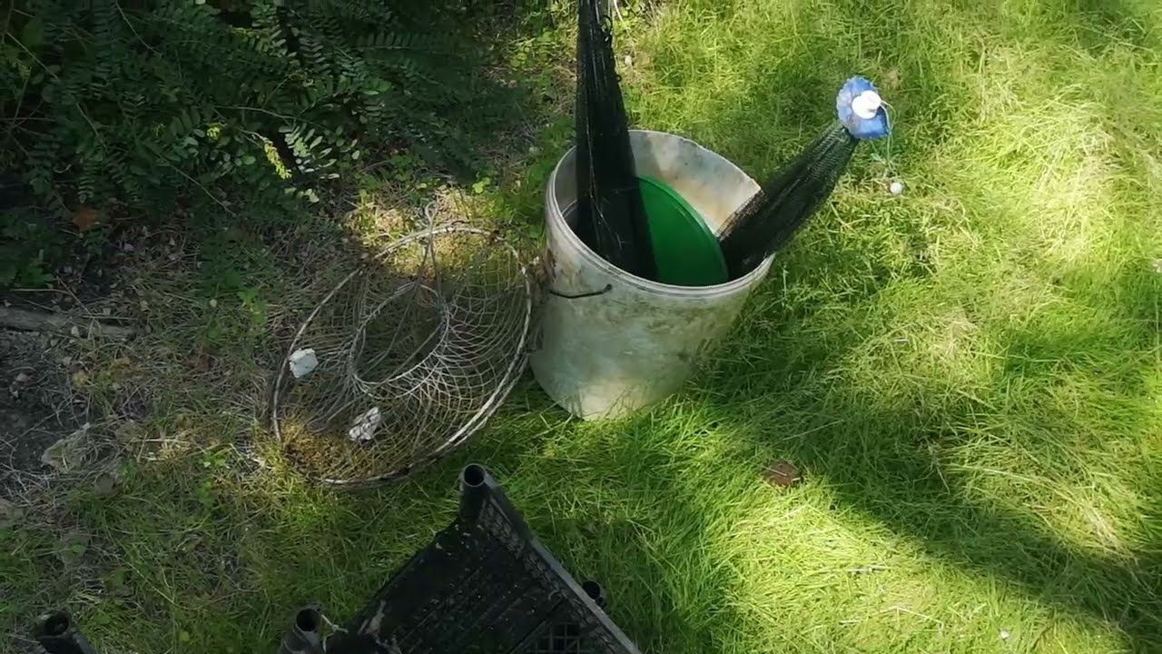 Раков тут нет...