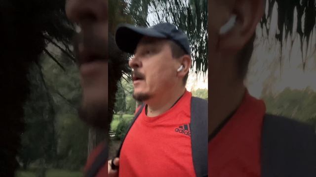 Вечерняя пробежка...