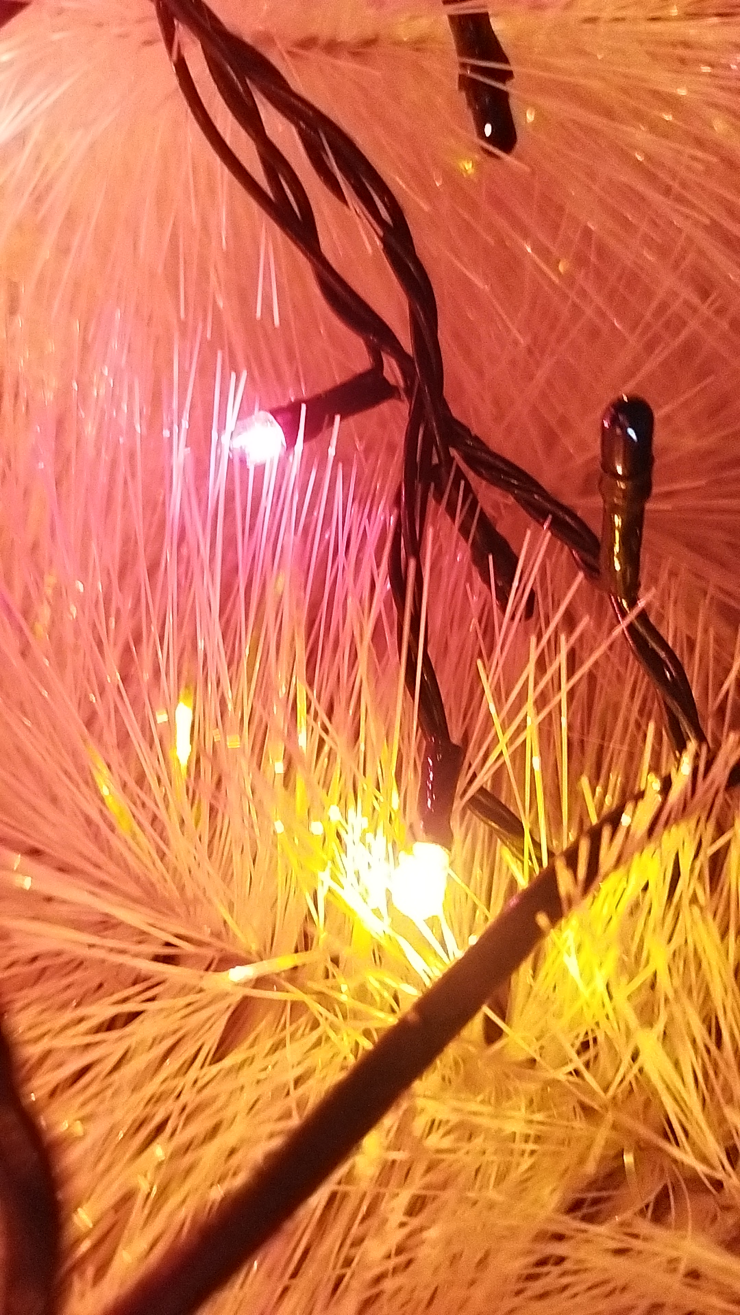 просто цветные огоньки. новосибирск. зима