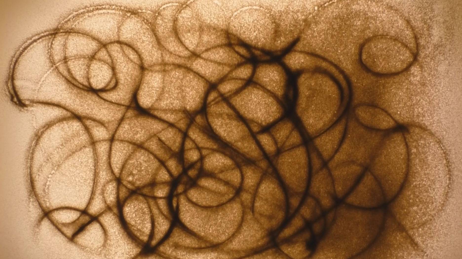 Елена Красова - ЕДИНОЕ (сл. и муз. Елена Красова)