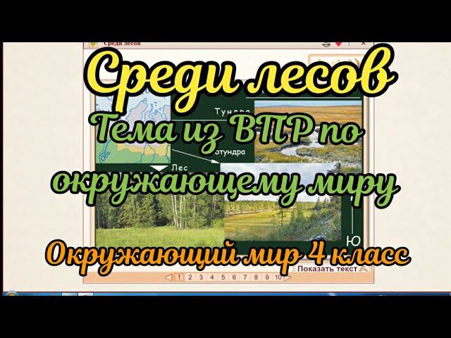 Среди лесов