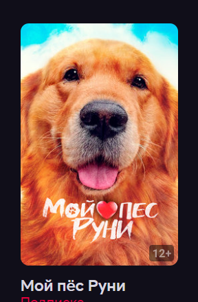 Мой пёс Руни (Фильм 2023)