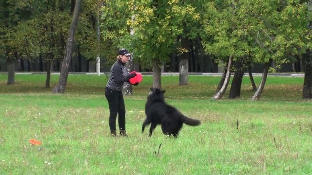 Чемпионат России Фристайл Людмила и Джек.mp4