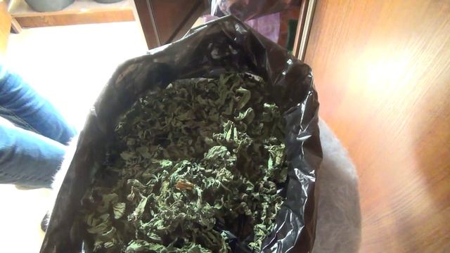 31 год со дня образования в системе МВД России подразделений наркоконтроля