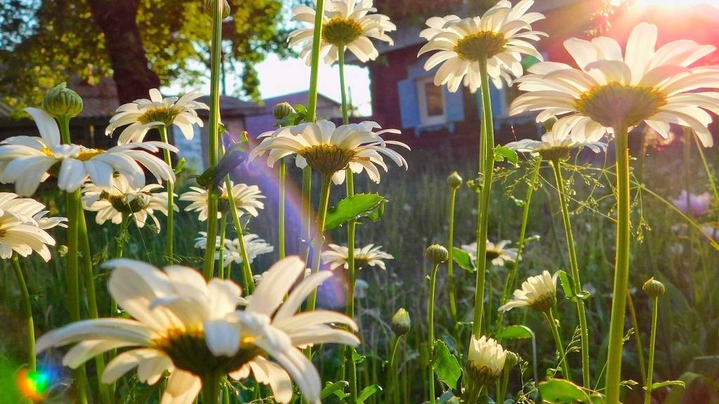 Статус коммун в переходном периоде.