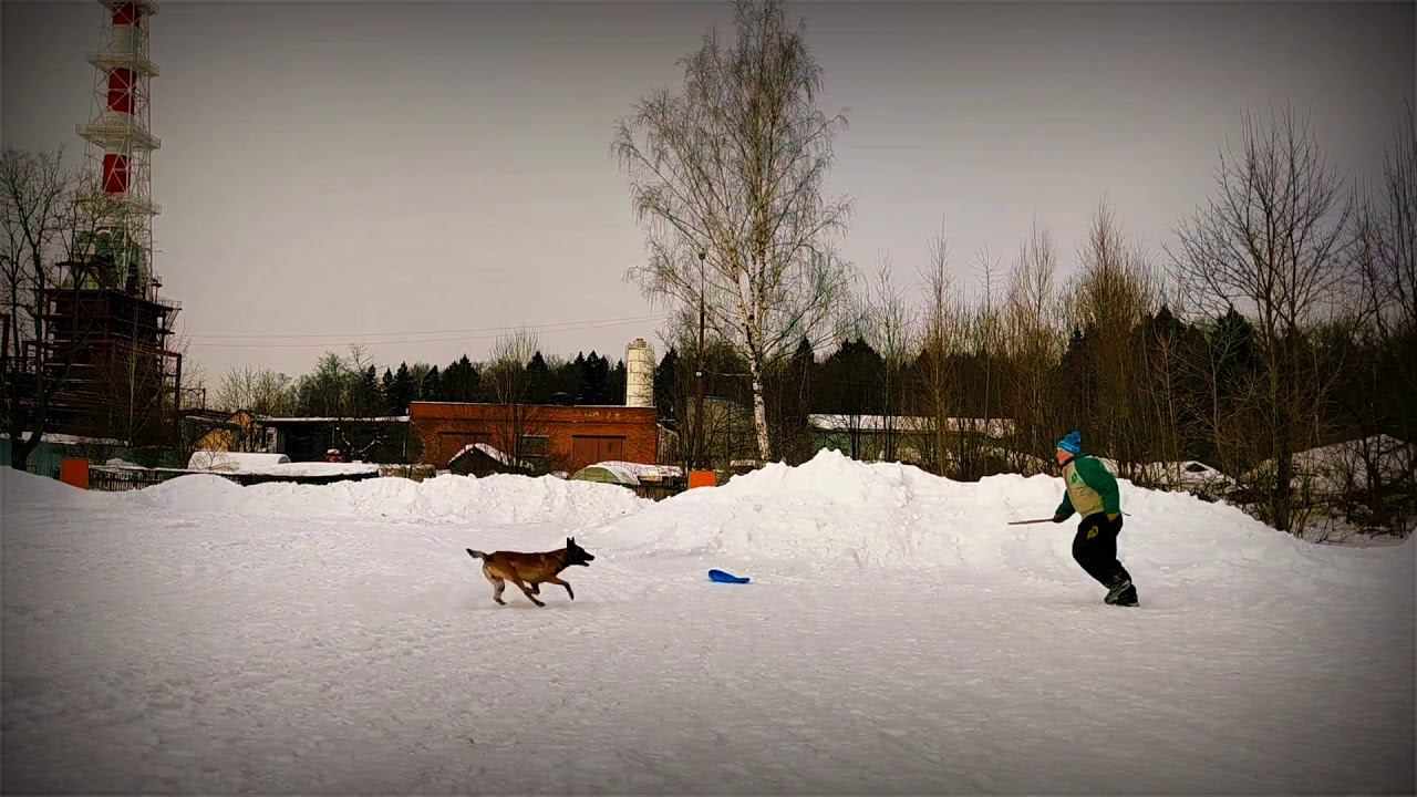 Тренировка 20.02.2021 Атака