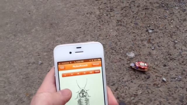 Таракан-киборг