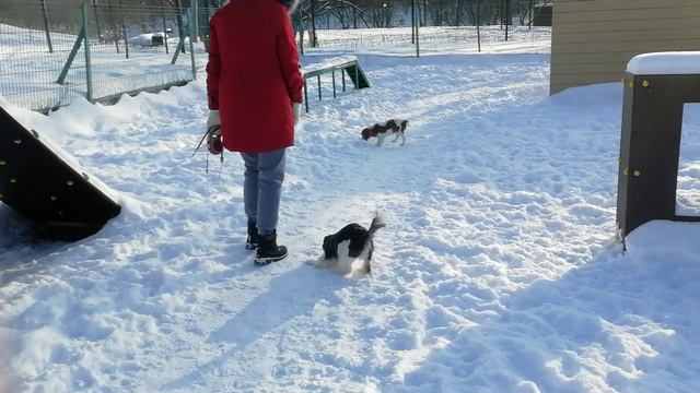 monalisa (Мона и Лиза)