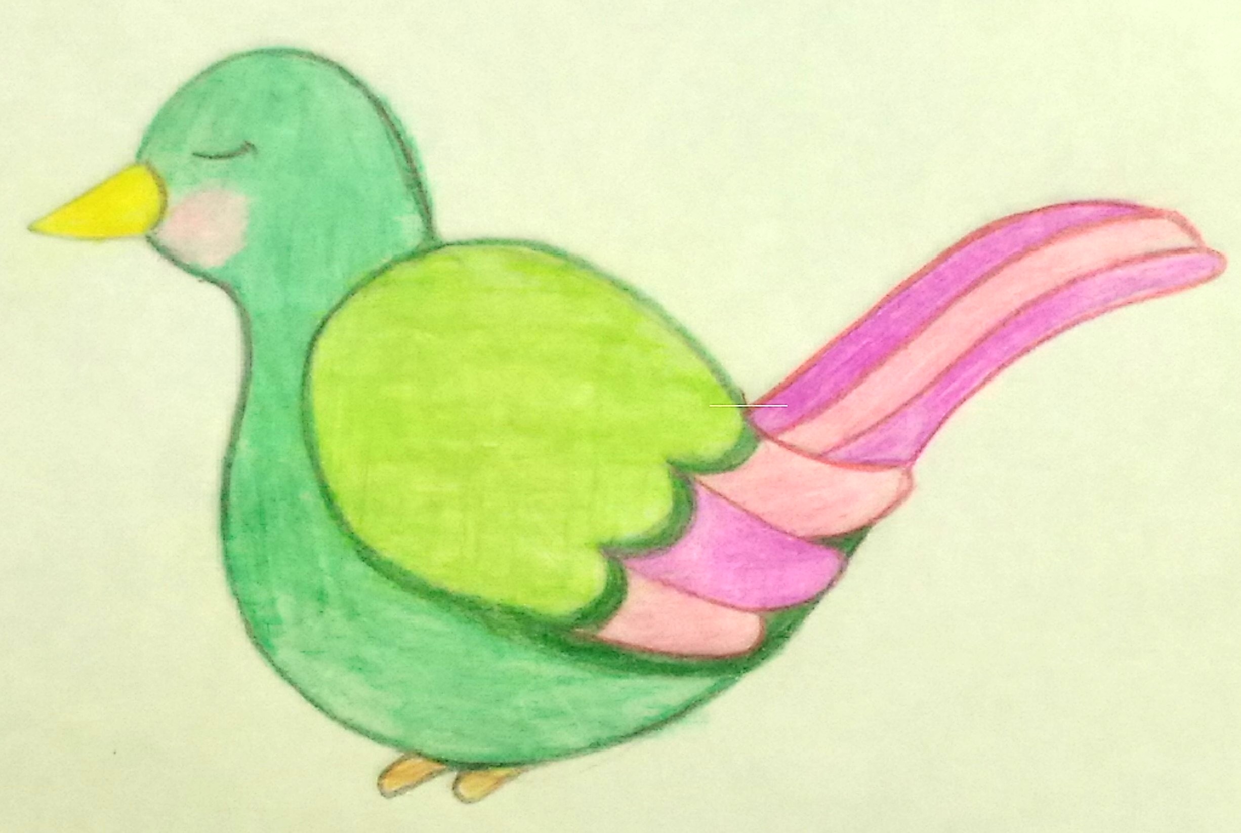 Как нарисовать птицу Цветная птичка для детей Простой урок