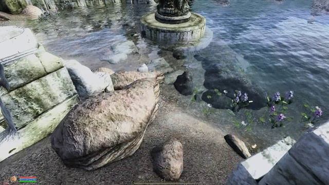 Oblivion Association. Настройка графики