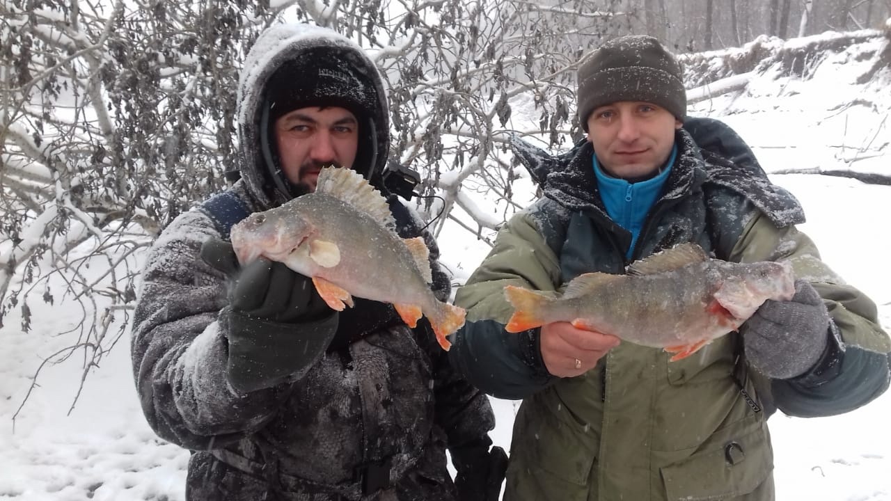 Окуни Мутанты на Балансир! Рыбалка мечты