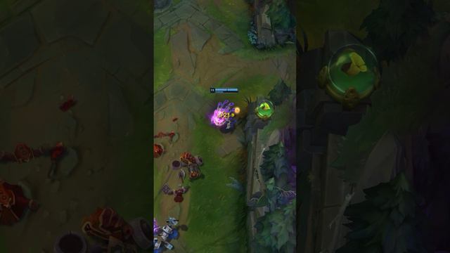 Весёлый Ког'Мао!