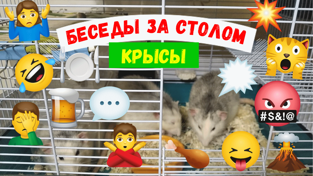БЕСЕДЫ ЗА СТОЛОМ | КРЫСЫ В ЭФИРЕ
