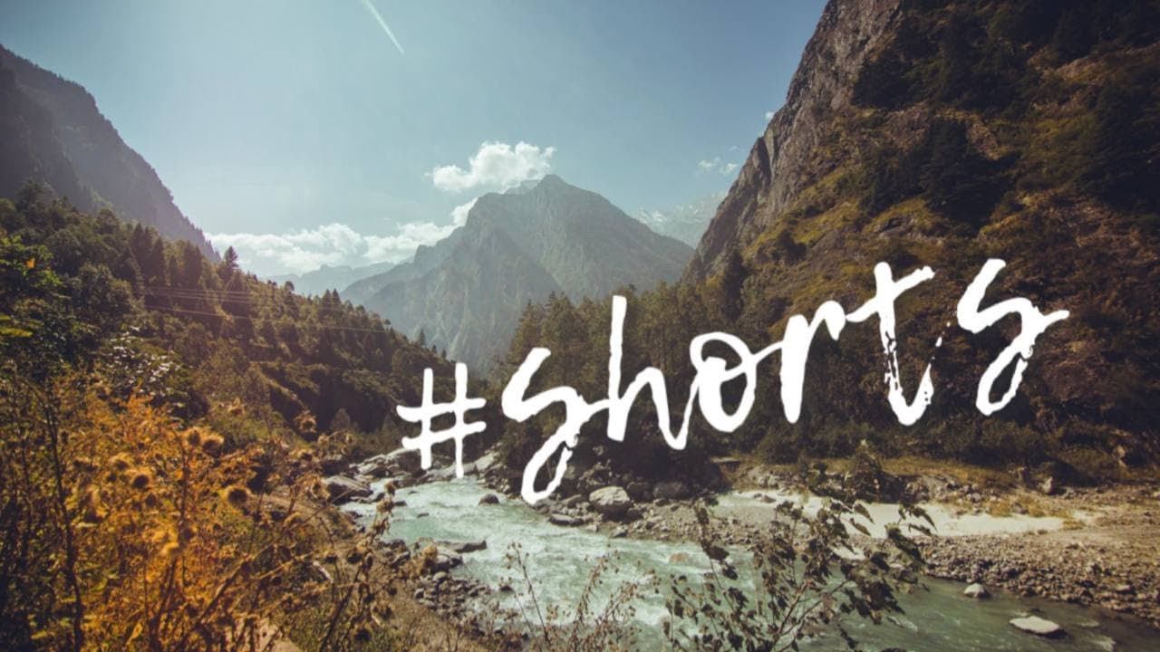 Прабхупада Лиламрита на канале #shorts