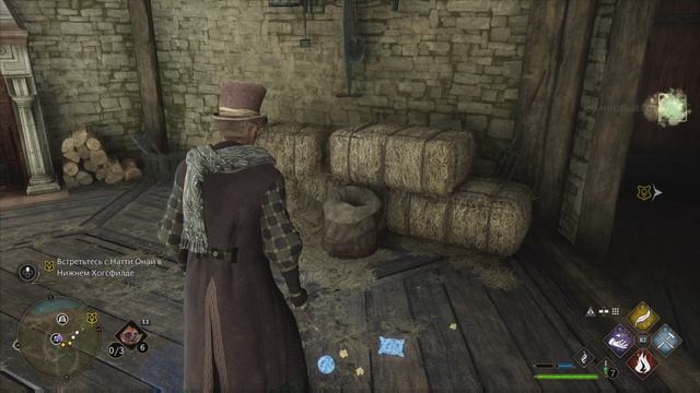 Видеопрохождение Hogwarts legacy. Часть 13. Азы зельеварения, Натти Онай, Чёрное озеро