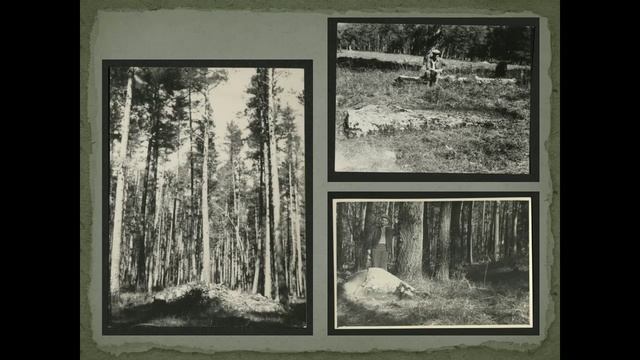 2. Цуциев А.А. (Владикавказ), Бондарь Л.Д. (Санкт-Петербург)