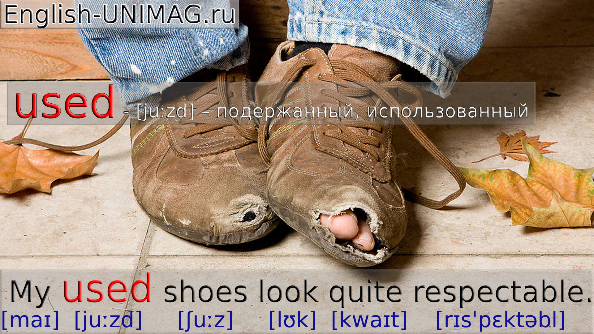 Загадки на английском языке. Английский онлайн тренажер. Английский бесплатно. Английская лексика.