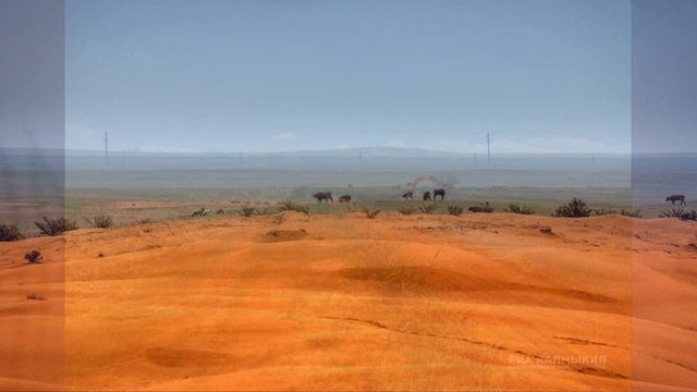 §30 "Не станет ли Земля пустыней?", Биология 5 класс, Сивоглазов, Плешаков.mp4