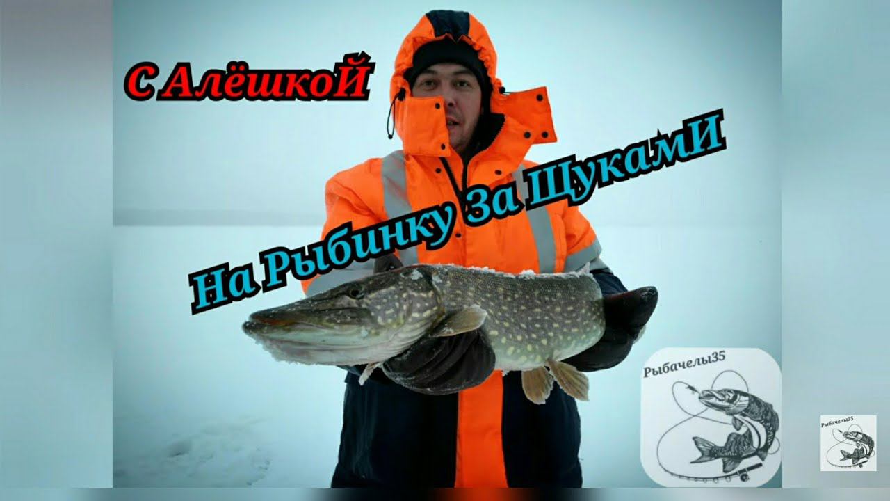 Рыбалка в "4к"на жерлицы на Рыбинском водохранилище в Новинке на заливе !!!