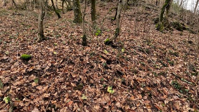 Водопад Шнурок, село Адербиевка