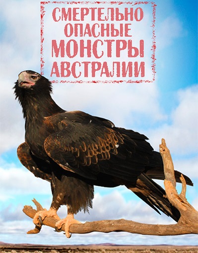 Каменно-холодные убийцы
Сезон 01 Серия 01