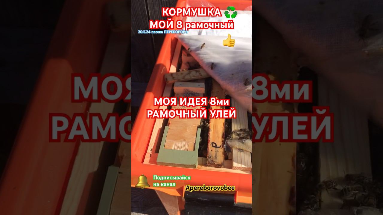 КОРМУШКА! ПЧЕЛОВОДСТВО! #pereborovobee #пасека #пчеловодство #bee #воск #матковод  #кормушка #поилка