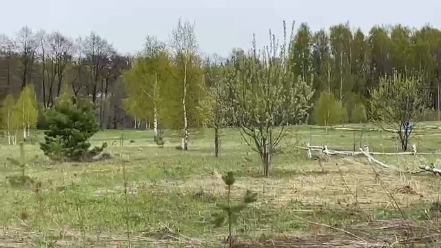 Начало! Мы поставили сарай)Ссылка на наш канал YouTube наша работа youtube.com/@Стройколорит