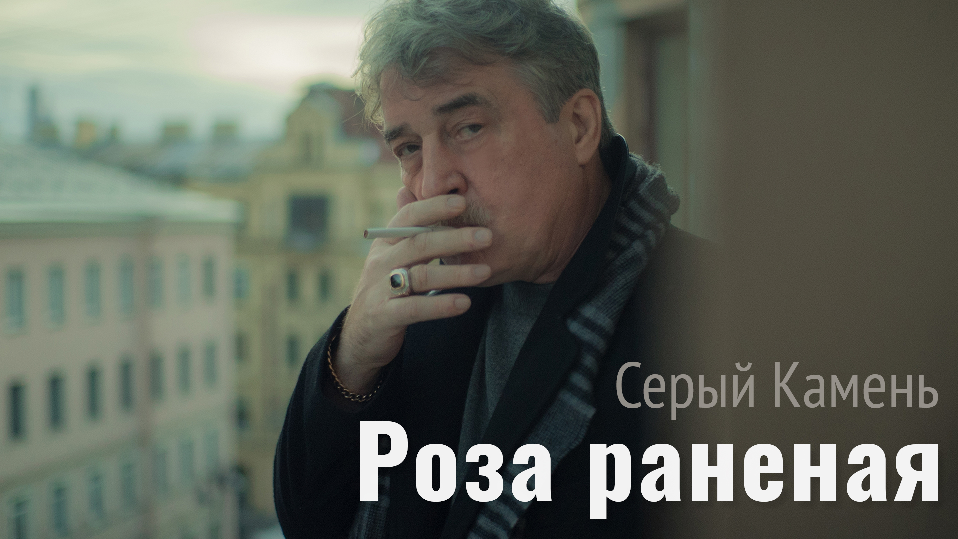 Роза раненая