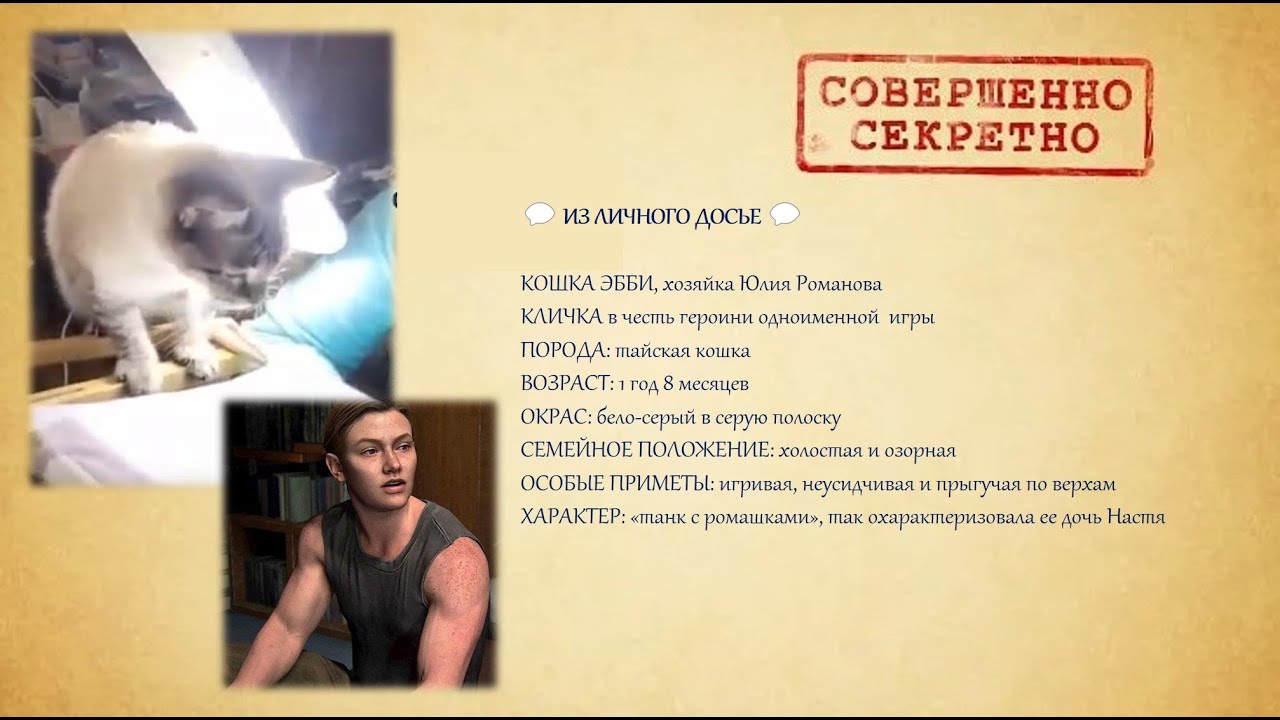 #445 Кошечка Эбби в фильме про домашних  животных