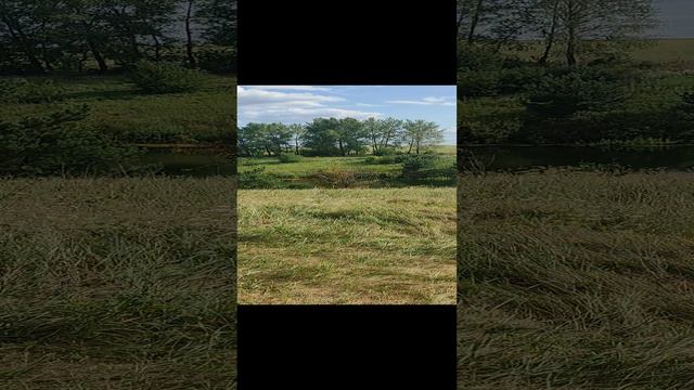 Первый раз в этом году приехали на пруд