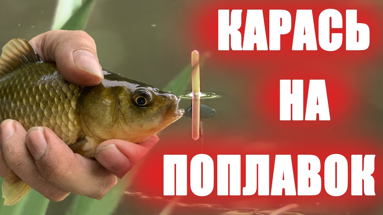 НА ПОПЛАВОК В ТРАВЕ! КАРАСИ НА УДОЧКУ! НОЧЁВКА У ЛЕСНОГО ОЗЕРА Рыбалка на поплавочную удочку #карась