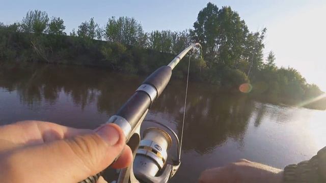 Ловля язей. Лучшие моменты с рыбалок.