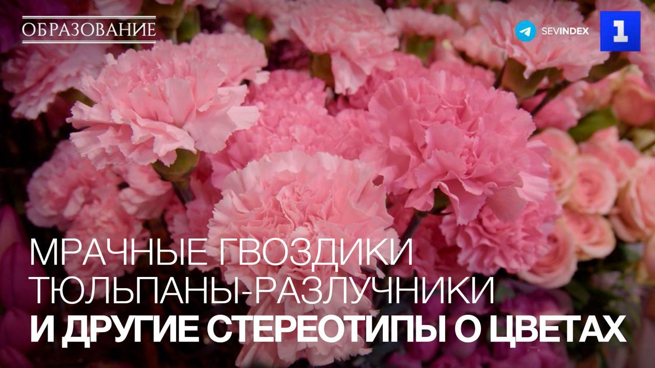 Мифы и стереотипы о цветах, в которые мы верим