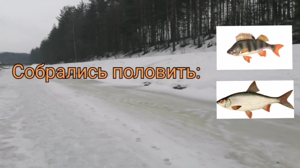 Клевал и БУДЕТ клевать!!!👆