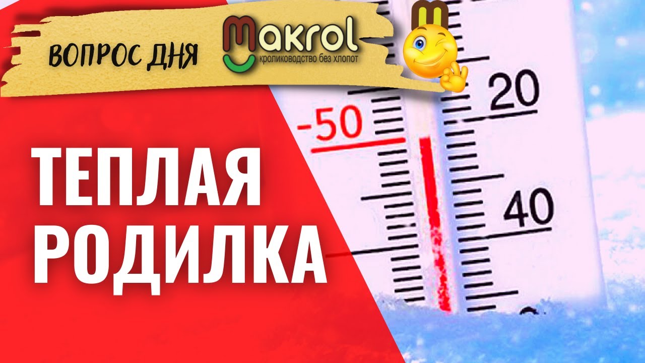 ❄☃Кролики в Сибири при -40. Особенности устройства маточников. #Макрол #Макляк