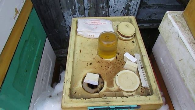 перевожу пчел на ячейку 4,6 - 5,0 мм, часть 49, подкормка пчел в марте 8.03.2024