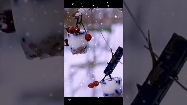 Хорошего дня