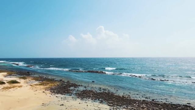 Карибы под музыку