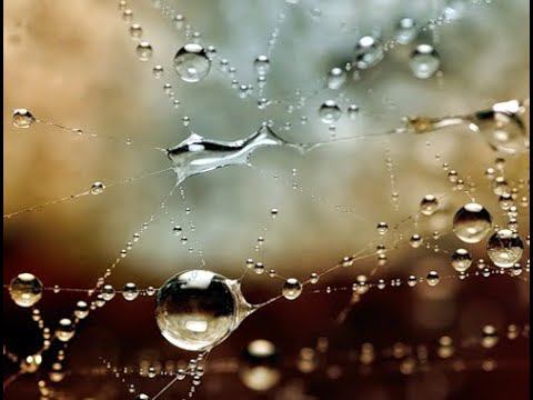 Танго дождевых капель