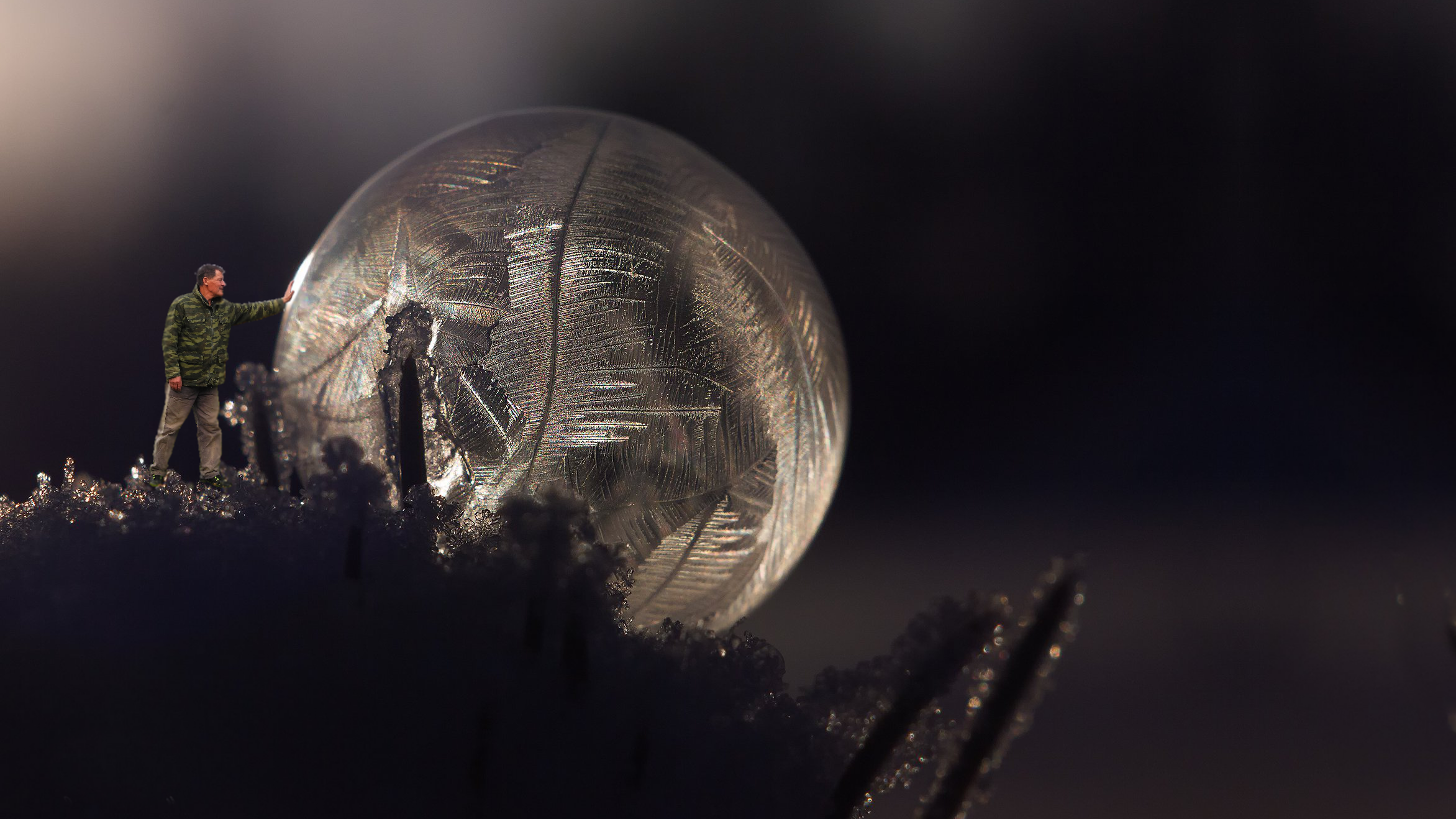 В лесах юрского периода